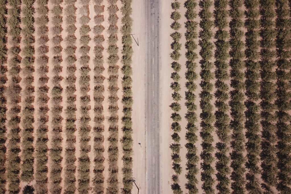 Water Week: How to farm in a drought | 1A