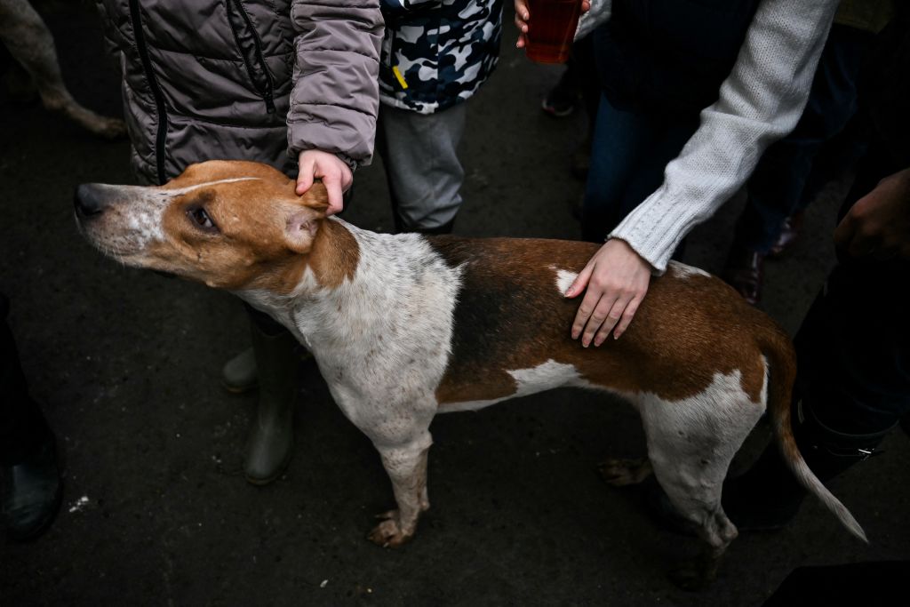 The movement to keep our dogs alive for longer | 1A