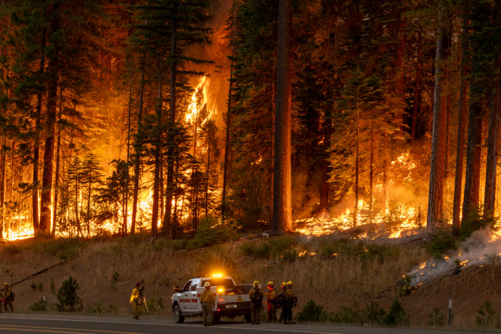The future of fighting and preventing forest fires | 1A